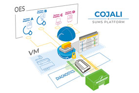 Cojali S. L. estrena nueva web corporativa y destina un sitio web en ...